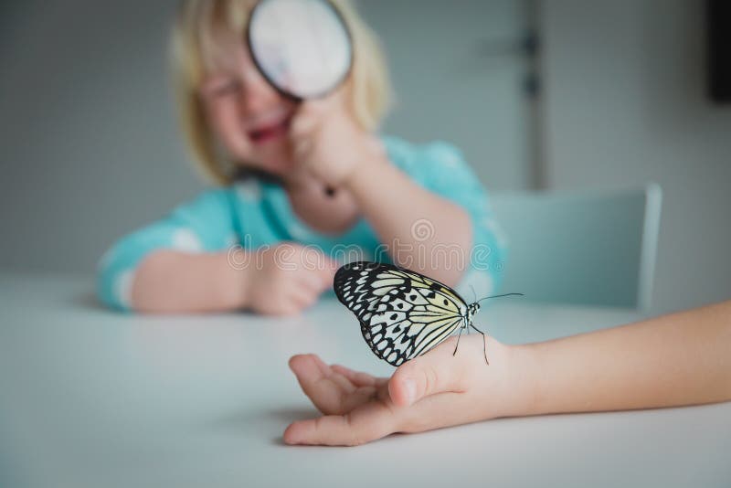 Kids Study Batterflies, Doing Rearch Project for School Stock Image ...