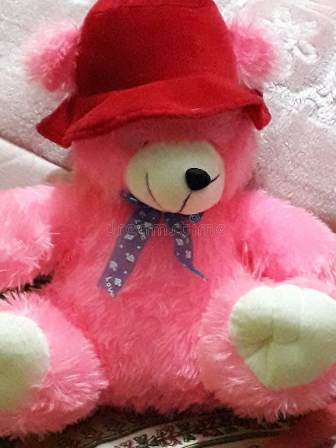 Kids tedy stock image. Image of tedy, essential, bear - 173737001