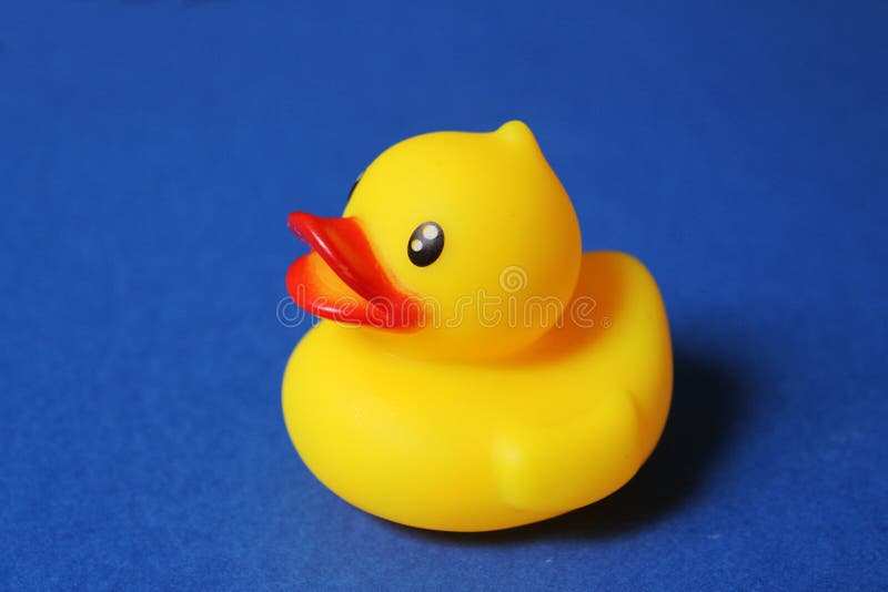Cute Colorfull Rubber Duck Isolated On Blue Background Stock Image