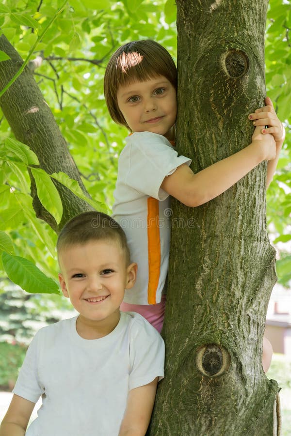 Kids on tree stock photo. Image of enjoyment, childhood - 94057860