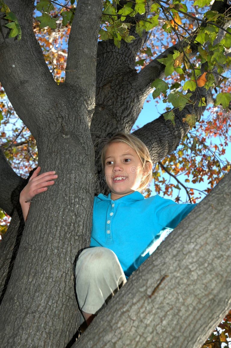 1,614 Kids Climbing Trees Stock Photos - Free & Royalty-Free Stock ...