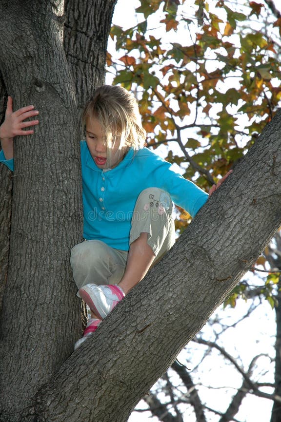 Kids in Trees stock image. Image of grass, environment - 1631025
