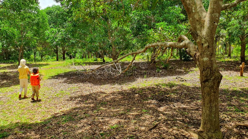 Two Men Walk Across Boats Varanasi Editorial Image - Image of lining ...