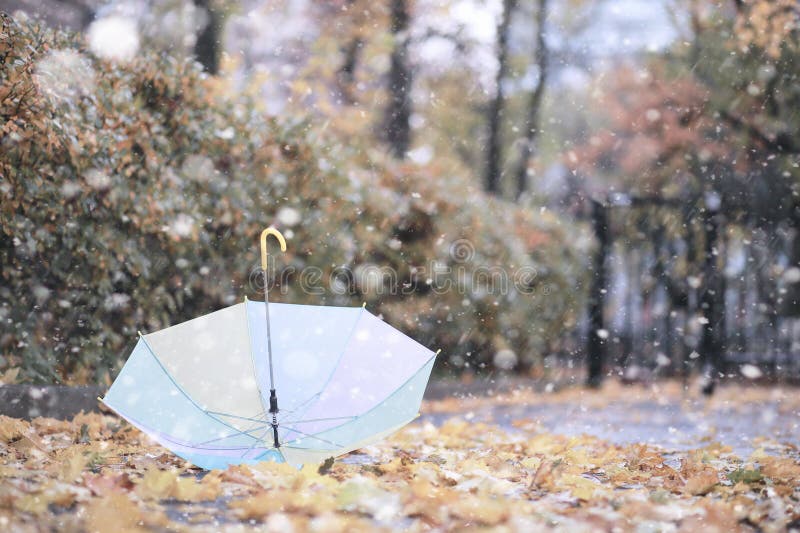 Kids Walk in the Park First Snow Stock Photo - Image of play, forest ...