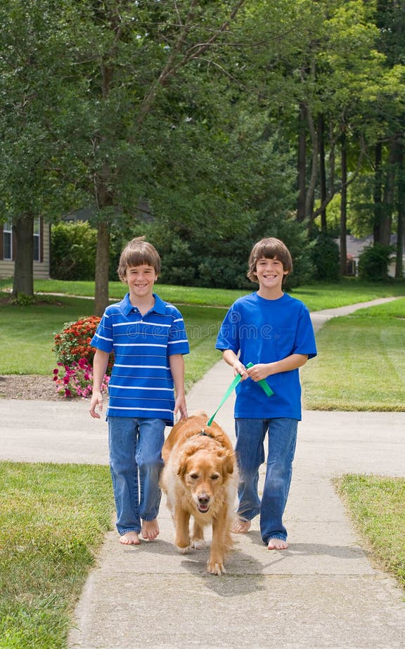 Kids Walking the Dog stock image. Image of domestic, friendship - 24118003