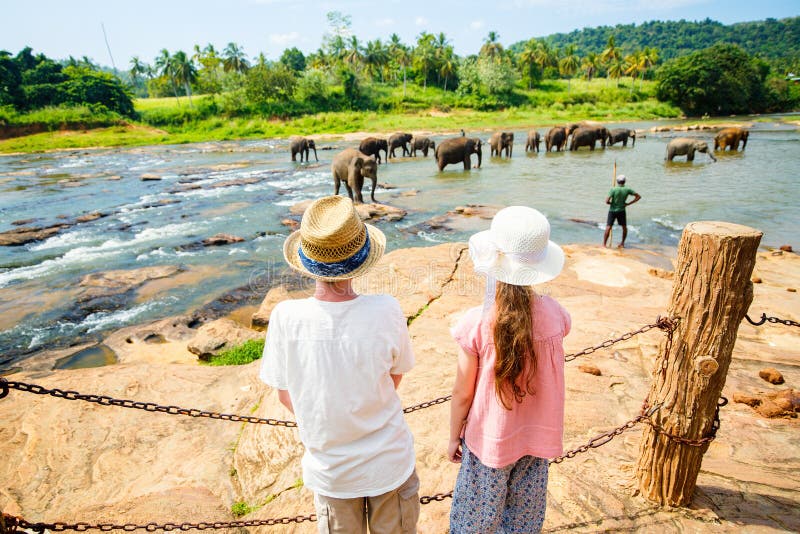 Kids watching elephants stock photo. Image of beautiful - 178597302