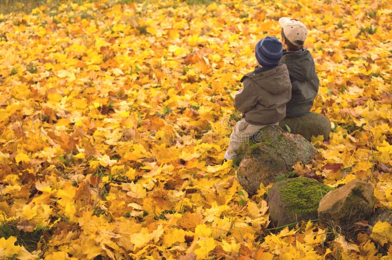 Kids watching fall 3861 stock photo. Image of leaf, quiet - 2592188