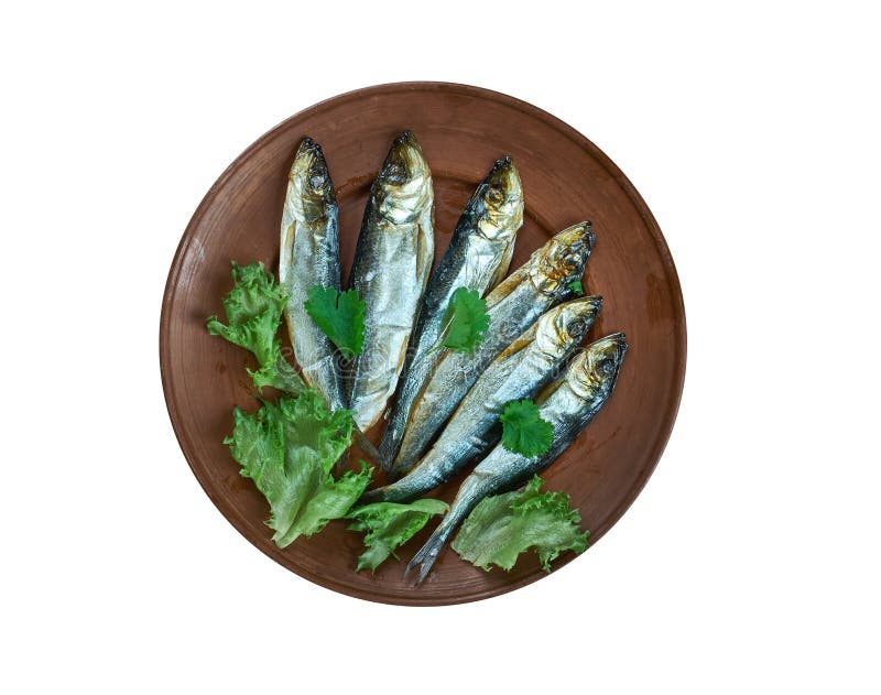 Kieler Sprotte stockfoto. Bild von marinesoldat, sprotten - 103223712