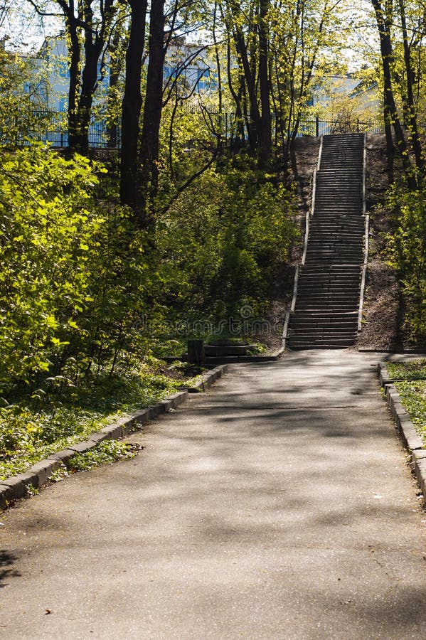 Kiev park stock image. Image of light, view, park, botanic - 91188723