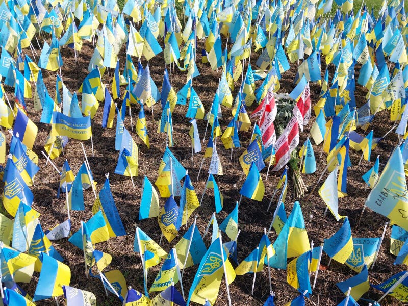 KIEV, UKRAINE - AUGUST 23, 2022: Field of Small Flags Editorial Image ...