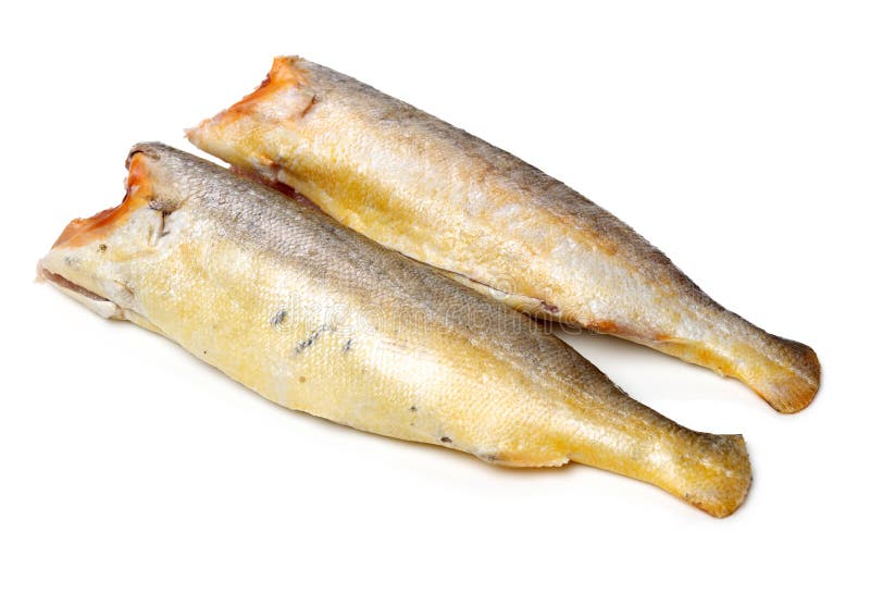 Kiguchi fish stock image. Image of croaker, fresh, gourmet - 122178647