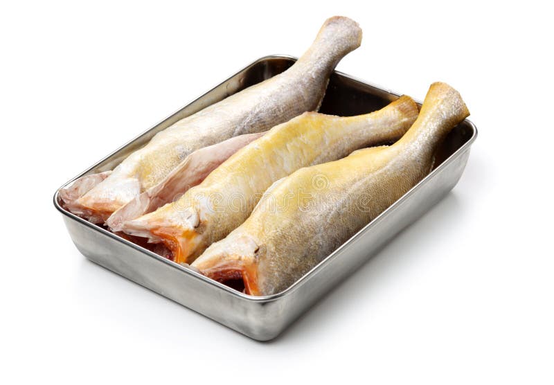 Kiguchi fish stock image. Image of croaker, fresh, gourmet - 122178647