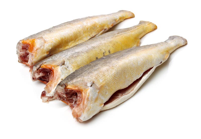 Kiguchi fish stock image. Image of croaker, fresh, gourmet - 122178647