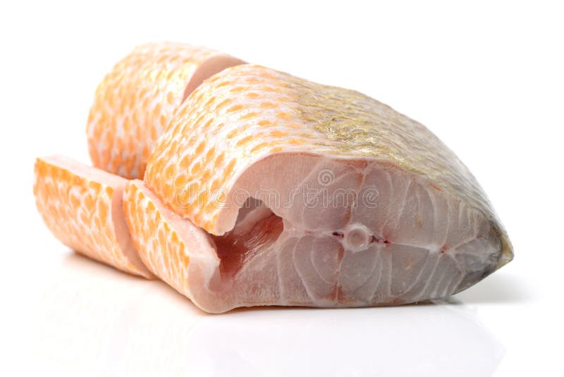 Kiguchi fish stock image. Image of croaker, fresh, gourmet - 122178647