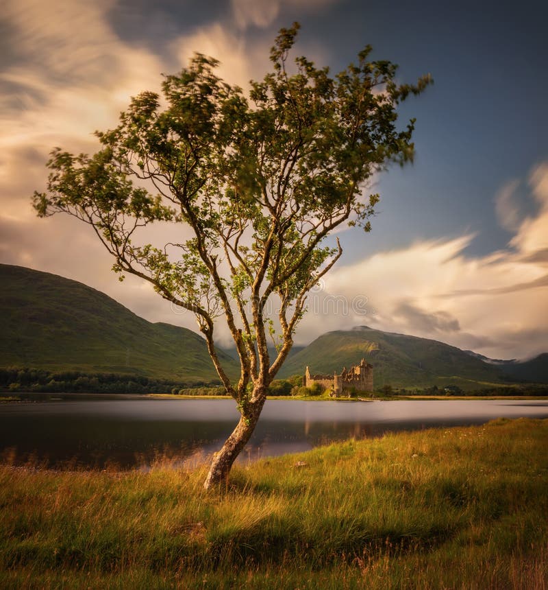 Kilchurn Castle Tree stock photo. Image of landscape - 161307050