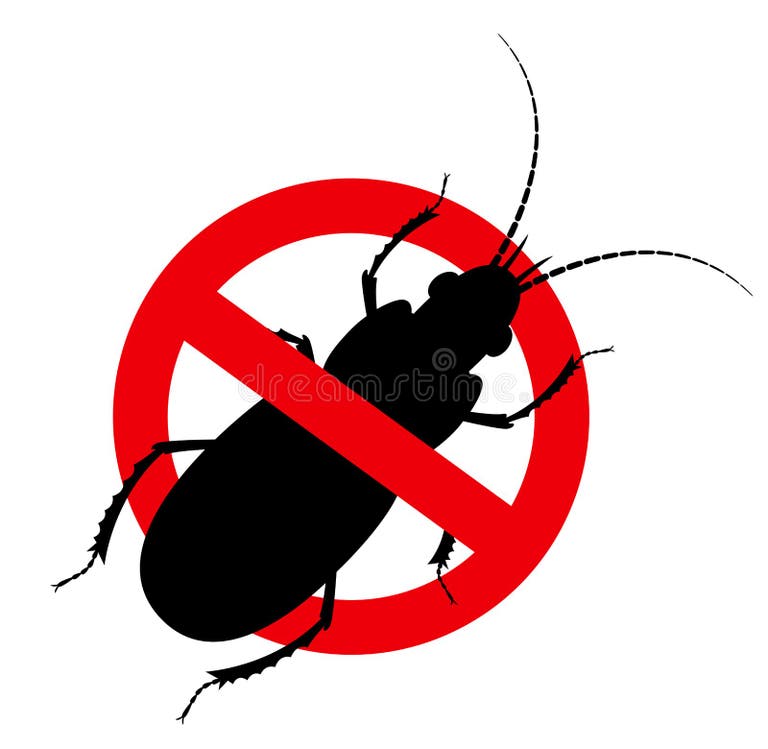 Kill Cockroach Insect Sign stock vector. Illustration of pediculus ...
