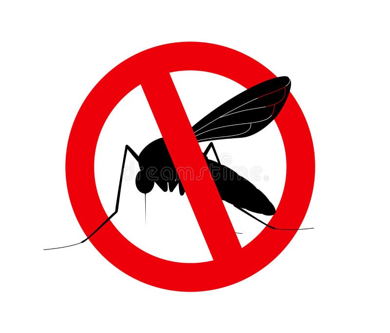 Kill Mosquitoes Stock Vector Illustration Of Winged 17247598
