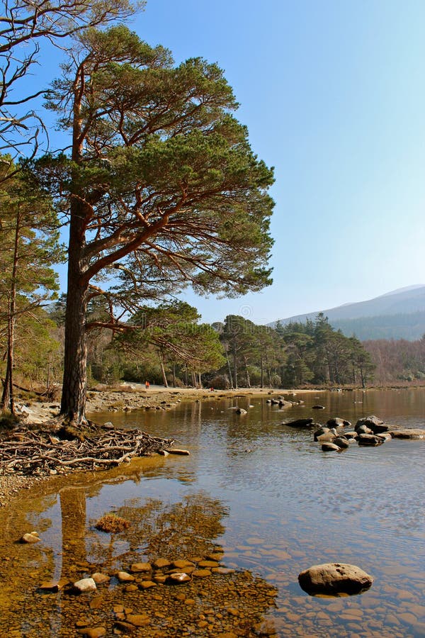 Killarney lake stock photo. Image of killarney, beach - 69117744