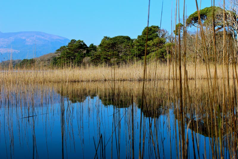 Killarney mountain stock image. Image of tourism, failte - 67850683