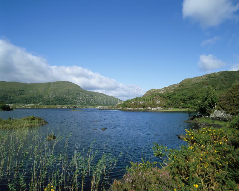 Killarney National Park, Ireland Stock Image - Image of eire, park ...