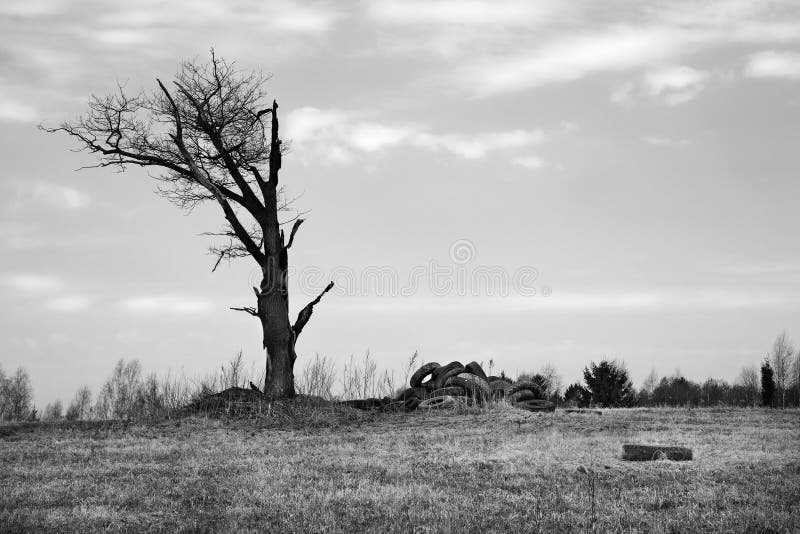 The Killed Nature (colourless) Stock Image - Image of automobile ...