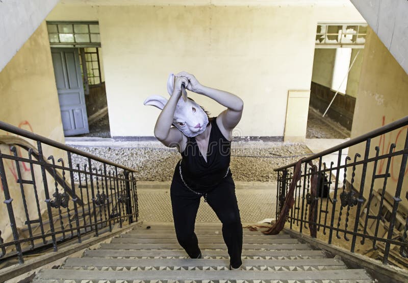 Killer rabbit stairs stock photo. Image of crime, costume - 44870966