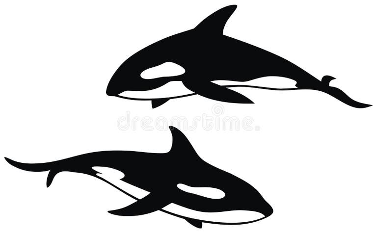 Killer Whale Outline Stock Illustrations – 726 Killer Whale Outline ...