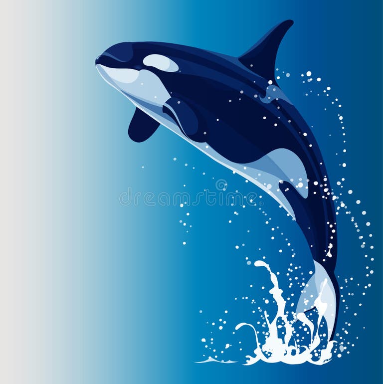 Killer Whale Stock Illustrations – 7,046 Killer Whale Stock ...