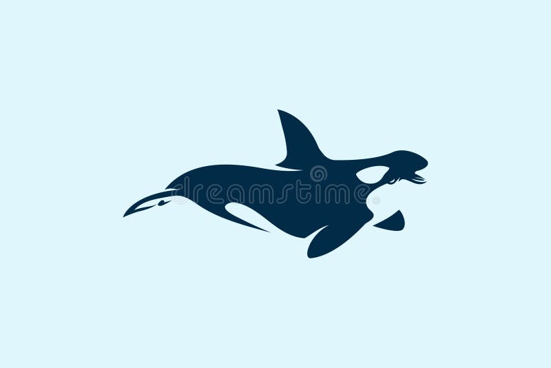 Killer Whale Illustration, EPS File Stock Illustration - Illustration ...