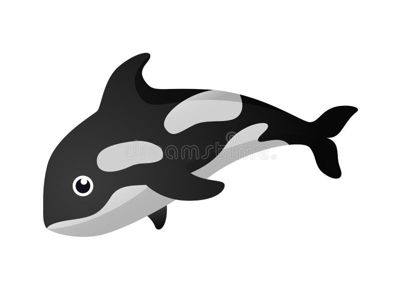 Killer Whale ( Orca ) Cartoon Character . Vector Stock Vector ...