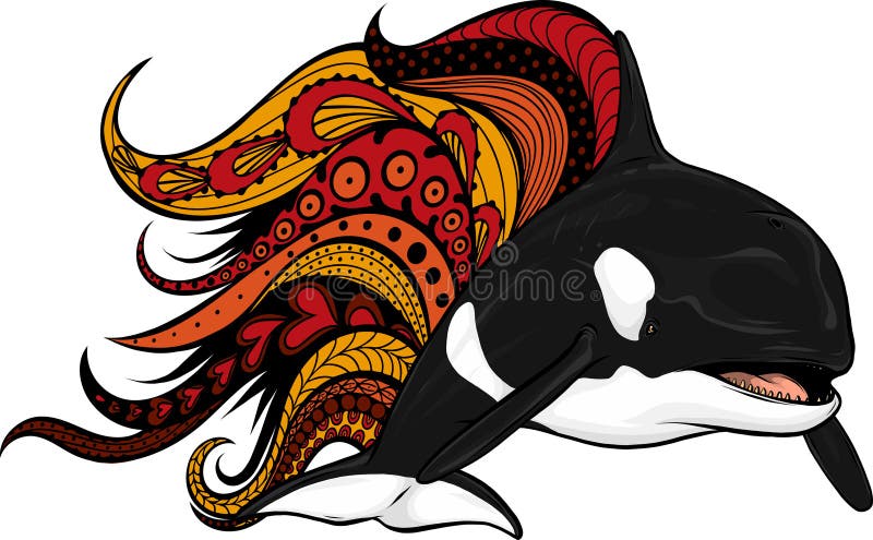 Killer Whale or Orca Vector Illustration Design Stock Vector ...