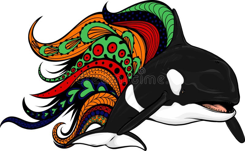 Killer Whale or Orca Vector Illustration Design Stock Illustration ...
