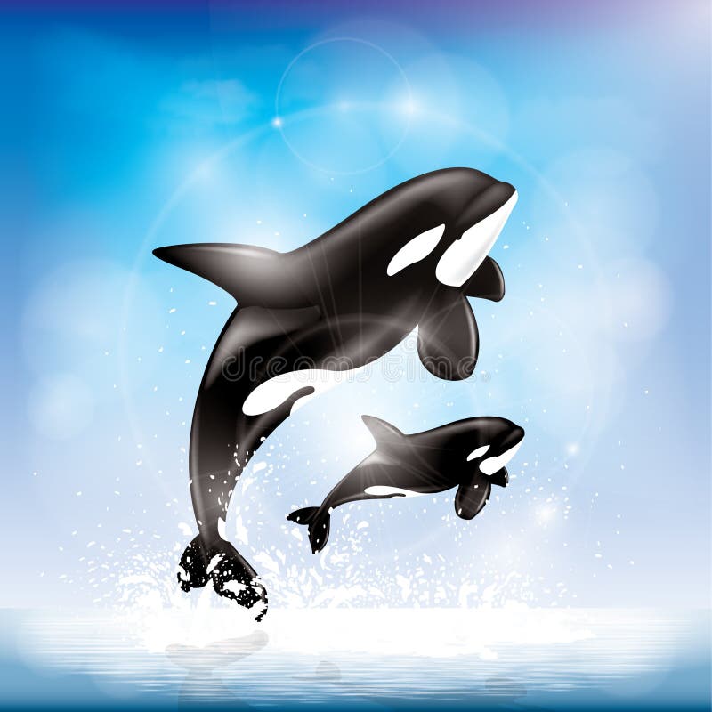 Killer Whale. Vector Illustration Decorative Design Stock Vector ...