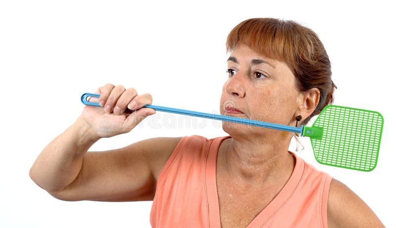 Killing flies stock image. Image of female, violent, concept - 11025881