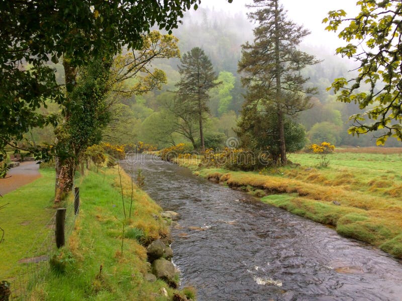 Kilmacanogue, Gendalough , Wicklow Stock Photo - Image of grass, trees ...