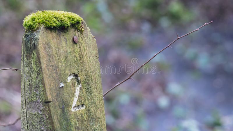 2-kilometer Marker Post in a Forest Stock Photo - Image of marker, road ...