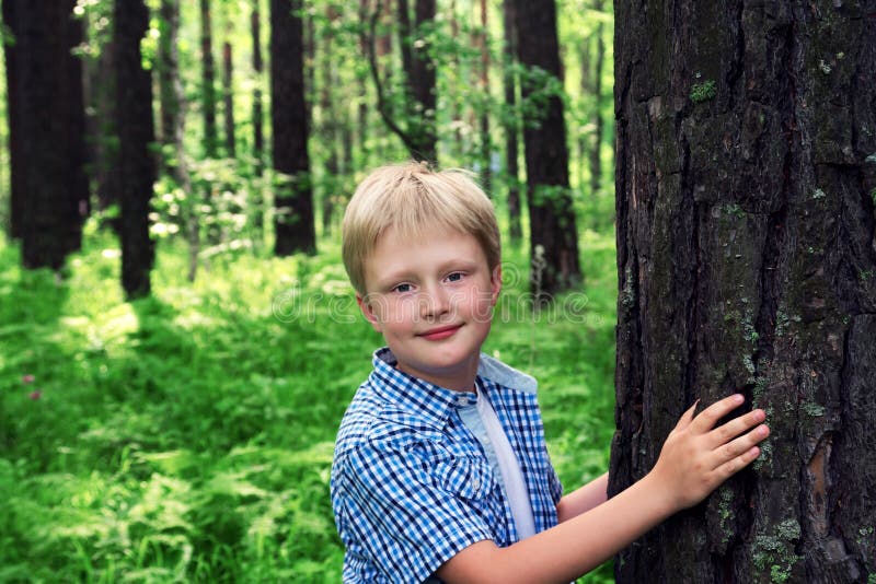 Kinder, Die Kiefer (Baum, Umarmen) Stockfoto - Bild von kindheit ...