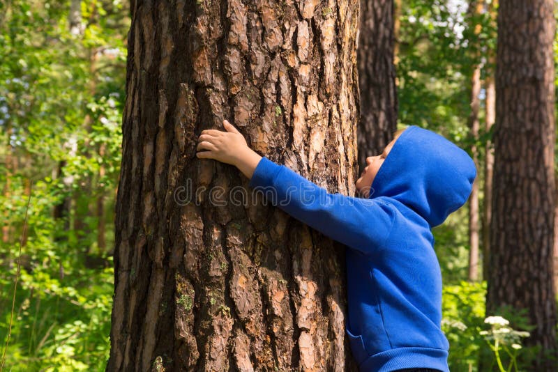 Kinder, Die Kiefer (Baum, Umarmen) Stockfoto - Bild von kindheit ...
