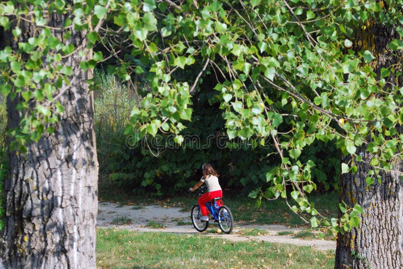 Kind en fiets stock foto. Image of kind, kinderen, groen - 11430012