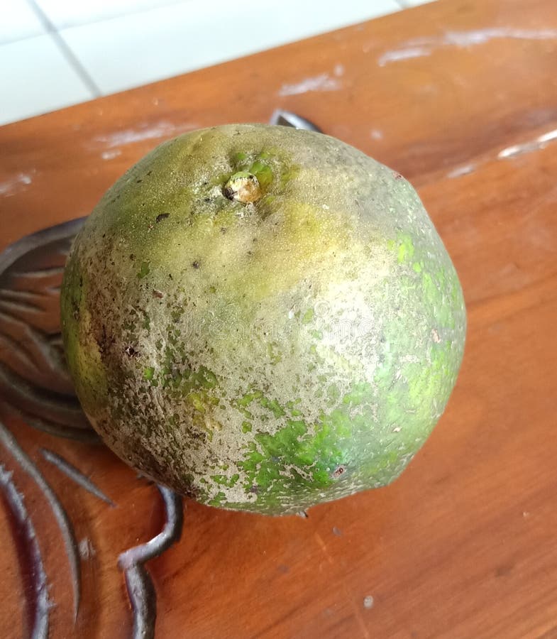 A kind fruit of citrus stock image. Image of leaf, vegetable - 251834879