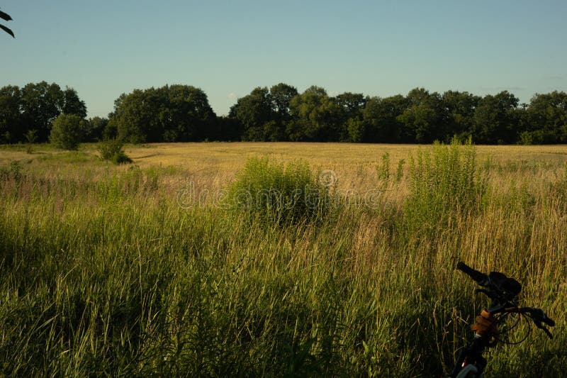 Kind of Nature. Field and Grass Part of a Tourist S Bicycle Stock Image ...