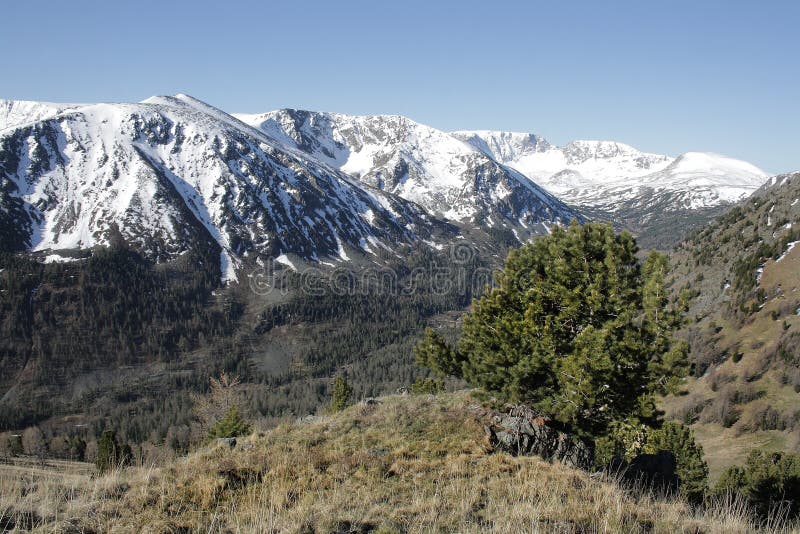 Kind on a river valley. stock photo. Image of open, mountains - 9905258