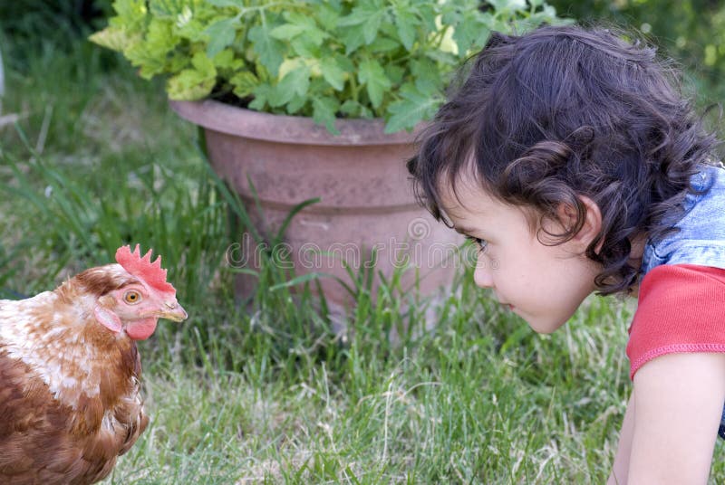 Kind und Huhn stockbild. Bild von glück, freude, wekzeugspritze - 11253373