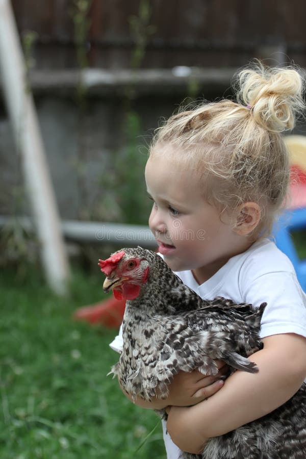 Gesprenkeltes Huhn Stock-Fotos - Laden Sie 110 Royalty-Free Fotos herunter