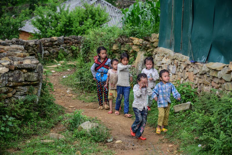 Kinder Auf Reisfeld in Sapa, Vietnam Redaktionelles Stockbild - Bild ...
