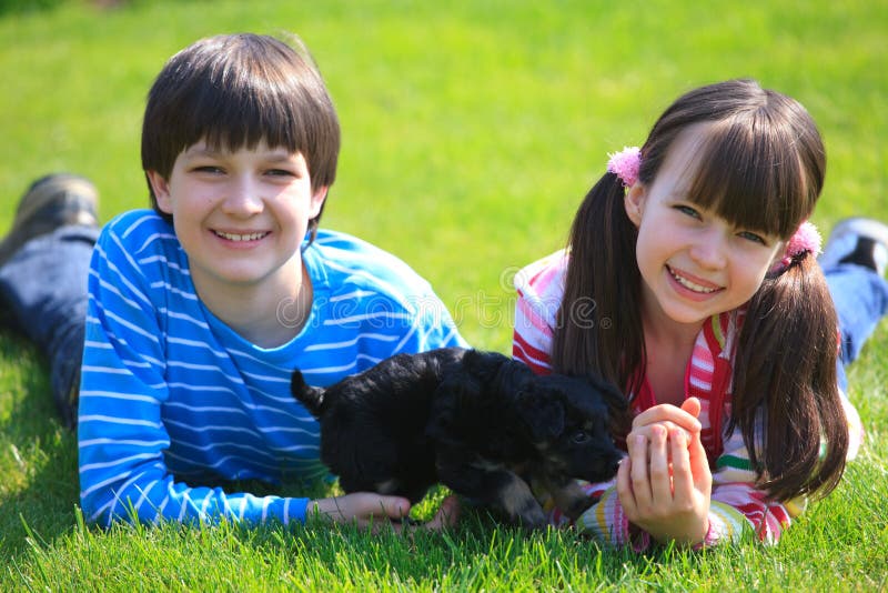 Kinder, Die Mit Hund Spielen Stockfoto - Bild von kinder, welpe: 9087498