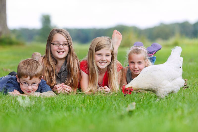 Kinder mit einem Huhn stockfoto. Bild von lieben, tier - 24802520