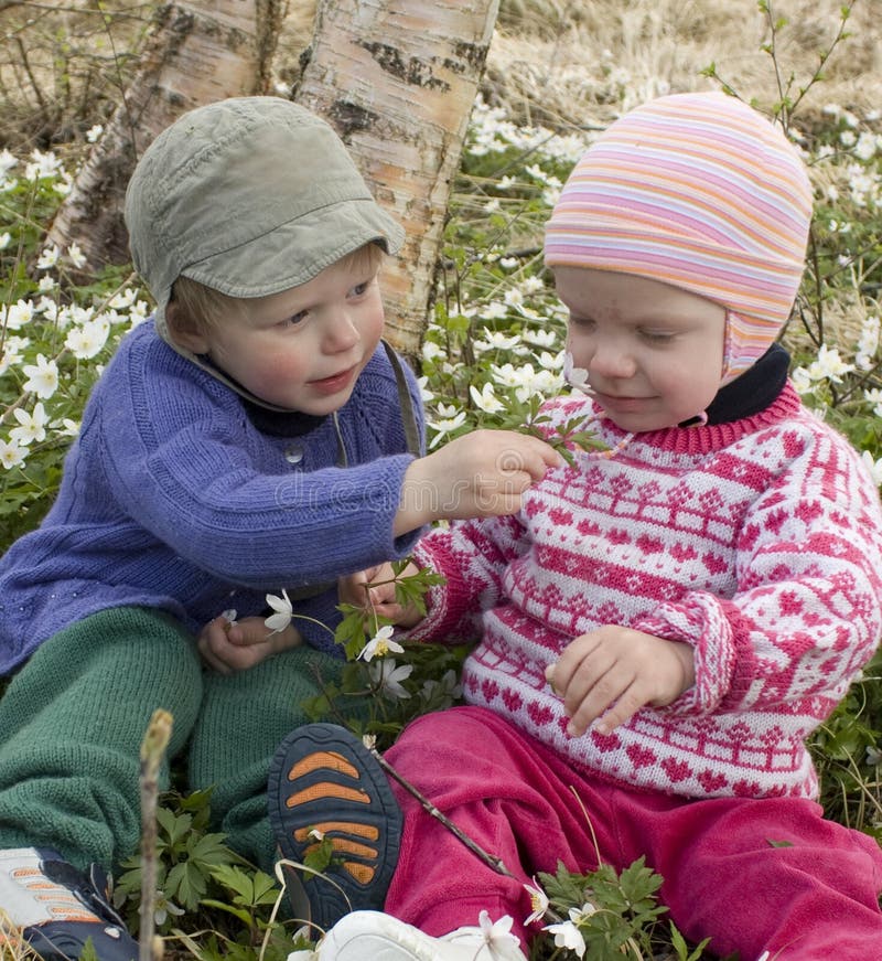 Kinderen Die De Bloemen Ruiken Stock Afbeelding - Image of verzorging ...