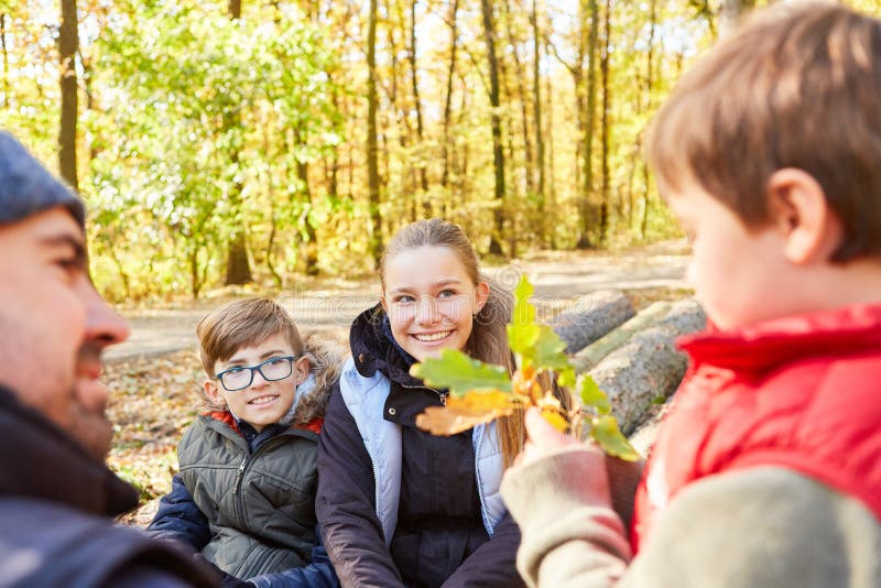Kindergarten Children Learn Tree Science from the Forester Stock Image ...