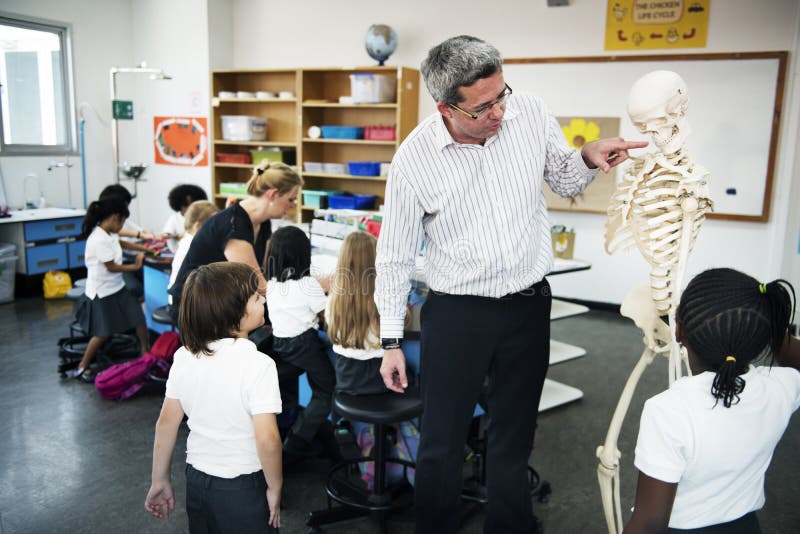 Kindergarten Students Learning Study Skeleton Structure Stock Image ...
